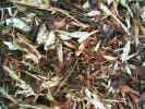 Devon Bark | Bark, Mulch & Compost supplies, Devon & Cornwall